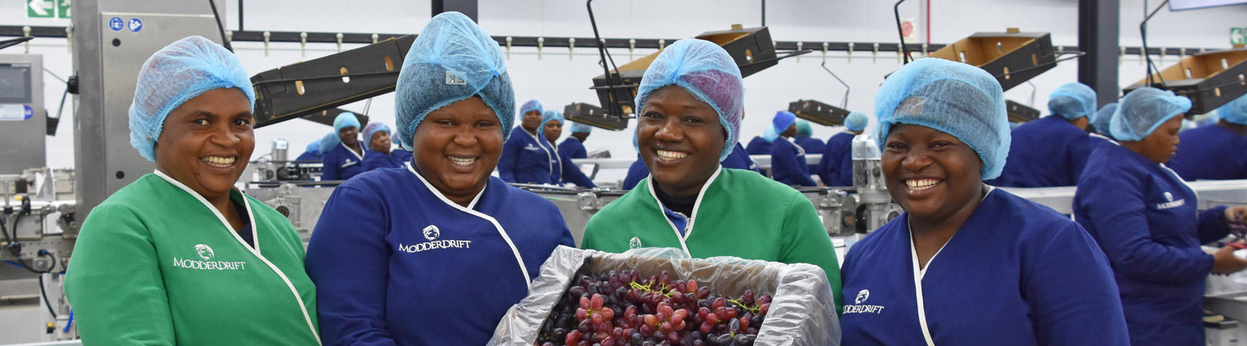 Our People - Modderdrift