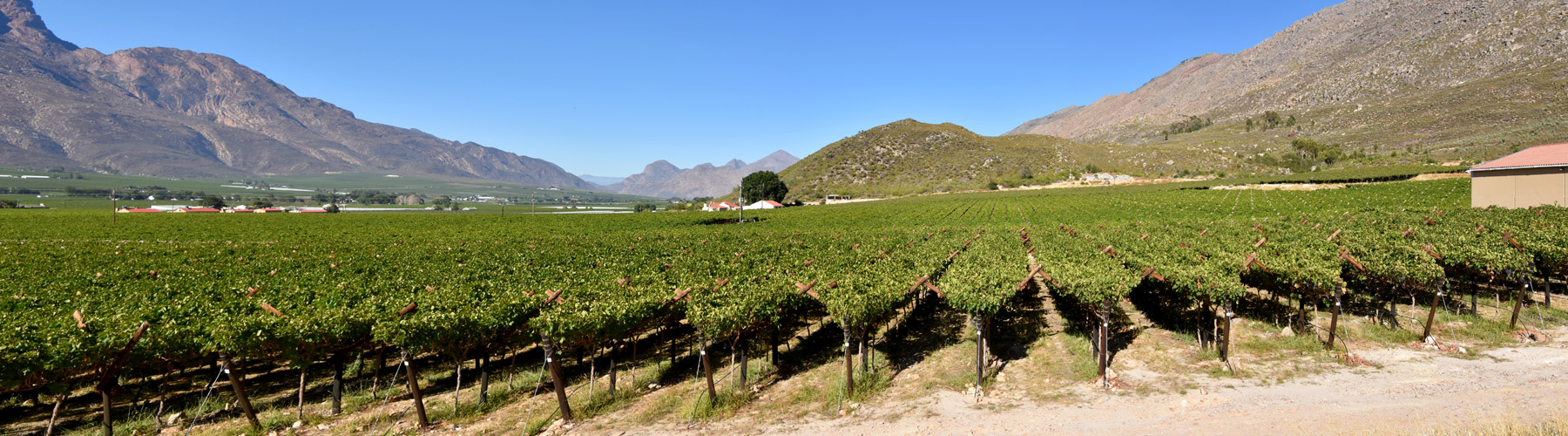 Our Farming - Modderdrift