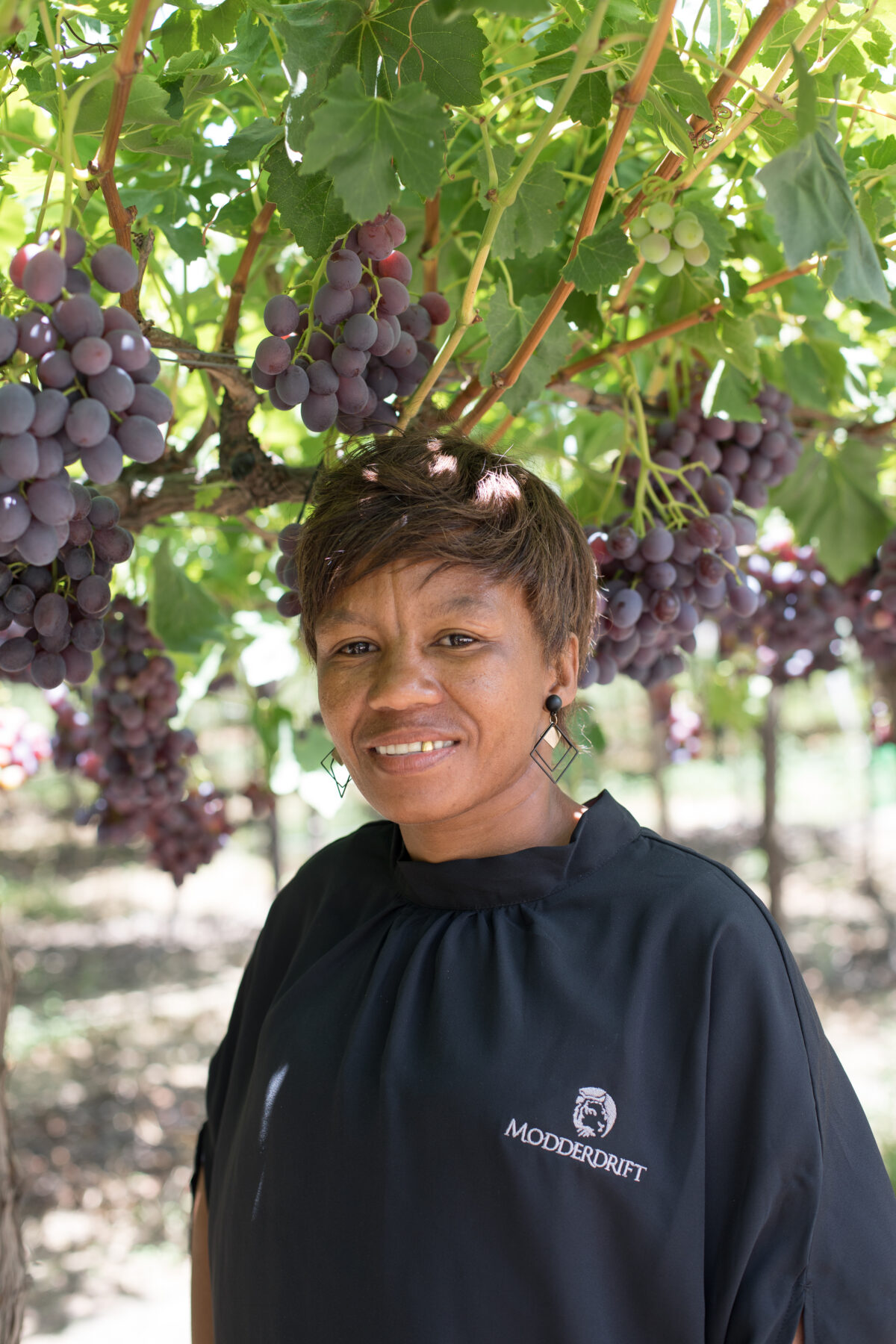 Our Management Team - Modderdrift